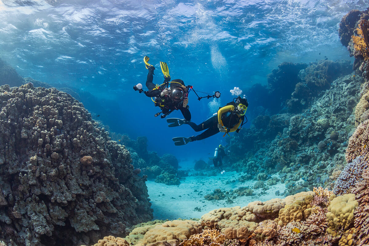 PADI Certification Integrated into Dive Shop 360 Point-of-Sale Software